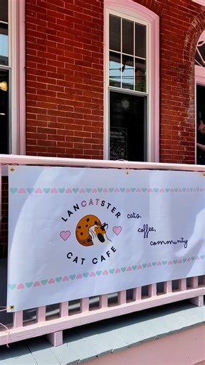 35K views · 12K reactions | Lancaster’s first cat café has officially opened its doors on North Duke Street!  Say hello to @lancatstercatcafe — a cozy spot at 222 North Duke Street where you can sip coffee or tea, enjoy a sweet treat, and make some furry new friends. ☕️ Plus, every cat is adoptable! ‍⬛ #figlancaster #cityoflancaster #lancasterpa #catcafe #lovelocal | Fig Lancaster | Facebook