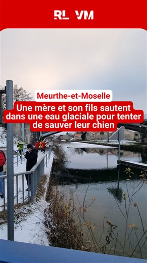 Elle voulait sauver son chien de la noyade dans le canal de la Marne au Rhin à Toul (Meurthe-et-Moselle), lundi 5 janvier 2026, en plongeant dans l'eau glaciale. Malheureusement, son fils de deux ans et demie a lui aussi sauté dans l'eau. Tous les deux n'ont pas réussi à regagner la berge seuls. L'intervention rapide des sapeurs-pompiers de Toul-Écrouves n'a pas empêché l'enfant, en arrêt cardiorespiratoire, d'être transporté au CHRU de Brabois près de Nancy. | Vosges Matin