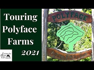 Touring Polyface Farms. A walking, self-guided tour of Joel Salatin's farm. See pasture raised pigs!