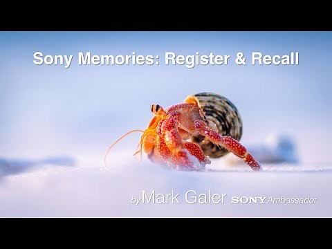 Memory : Register & Recall Settings - Total Recall