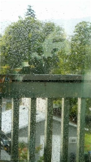 Rain on Window Sounds for Sleeping