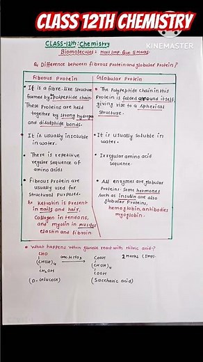 Biomolecules Class 12 Chemistry|Fibrous Proteins and Globular Proteins|#cbse #neet #2024