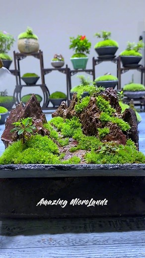 Creative Idea Making Jung to Valuables Stuff, Amazing MicroLandScape #diy #amazingvideo #Awesome #moss #nature #plants #green #naturephotography #aquascape #mossart #photography #trees #mossterrarium #indoorplants #art #tree #plant #mosswall #vivarium #homedecor #terrariums #macro #handmade #naturelovers #garden #lichen #plantedtank #interiordesign #microlandscape #landscape | Moss CraftIdeas