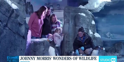 Wonders of Wildlife National Museum and Aquarium