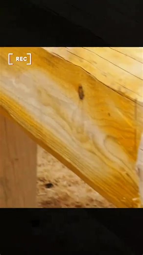 The journey of building a wooden house - Columns and beams make the difference | Jeffrey X