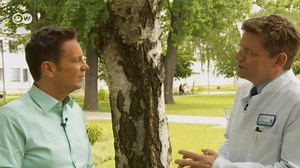 Hay Fever: Relief from Pollen Allergies