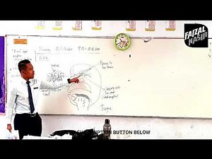 Science Form 3 Chapter 1.2.1 Nose Structure