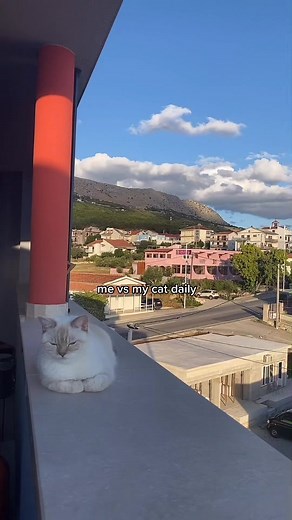 do i really know what’s best for my cat? is my cat even mine ?? 😵‍💫 #catsoftiktok #cattokers