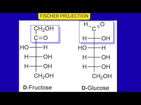 Aldehyde vs Ketone Functional Groups | Using Glucose & Fructose Fischer Projections