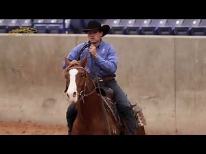 US Team Penning & Ranch Sorting LIVE