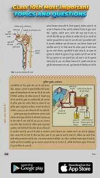 Class 10th Science Life Processes: Learn, Revise, and Score! #topperssky #class10thscience #ncert