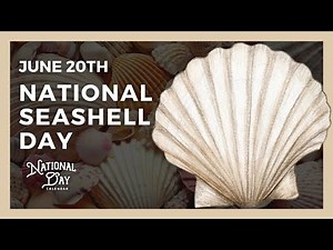 National Seashell Day | June 20th - National Day Calendar