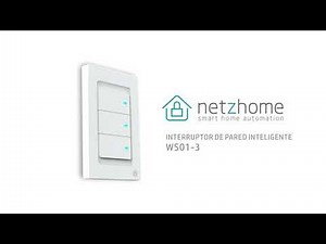 ES WS01-3 Smart Wall Switch