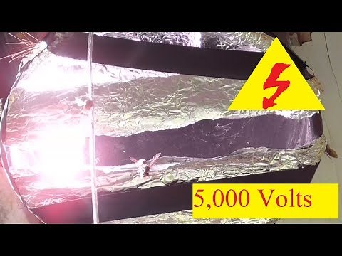 Zapping Yellowjackets With Homemade 5000V Zapper