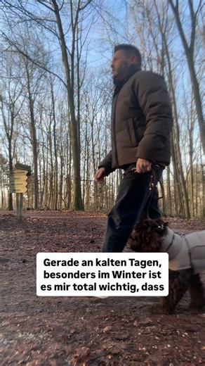 Dennis | Hundetrainer 🦮 on Instagram: "CODE:BUDDY - sichere dir 15% Rabatt auf das ganze Sortiment von CLOUD 7🤍 Im Reel zeige ich dir meine liebsten Wintermäntel für kalte, aber auch besonders kalte Tage❄️ Für welchen Mantel würdest du dich entscheiden? @cloud7berlin #cloud7 #cloud7berlin #hundekleidung #hundefashion #hundealltag"