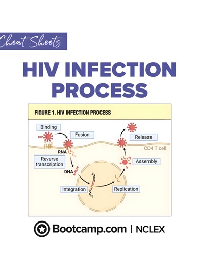 Understanding HIV Infection Process for NCLEX Success