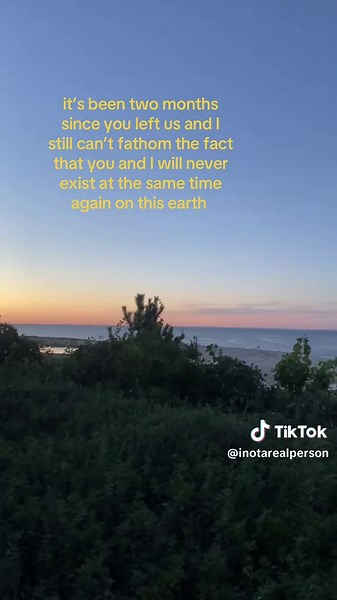 Understanding Grief After Losing a Partner