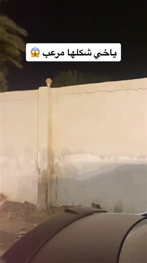 White Car with Unique Paint Splatter at Night