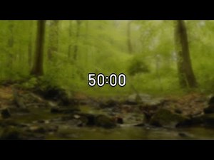 50 Minute Timer with Nature Sounds - Countdown Timer