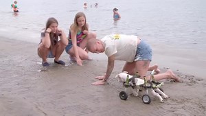 66K views · 8.4K reactions | My heart is so full! I’m so proud to...