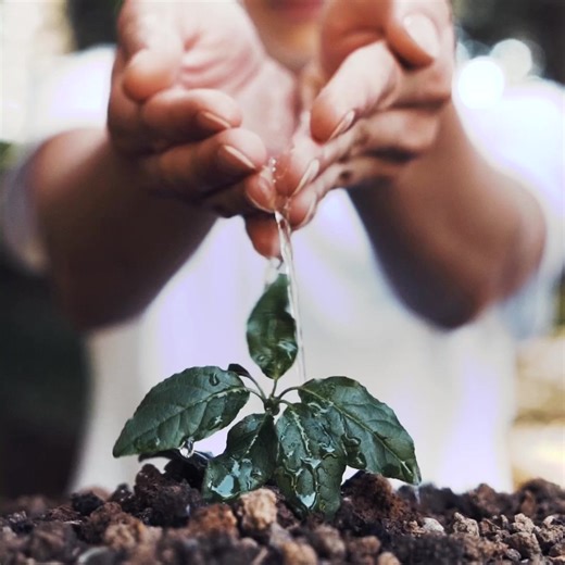 Food is hope🕊️, health⚕️, home🏡 and so much more. For the millions of people WFP reaches every year, it is the foundation for a full and dignified life. What does food mean to you? 💭👇 #WorldFoodDay | World Food Programme