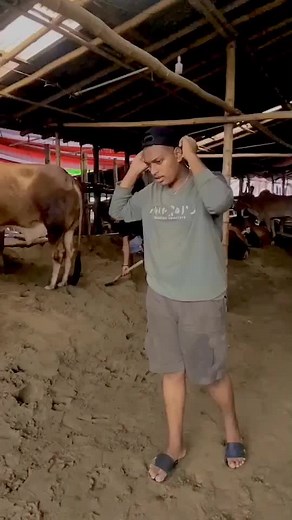 New calasan#ctg_muser_king #shakil05 #foryou #ctgmuser #bdmuser #viral #videoviral #commila #team_swag19 #tiktokbdofficial #gorubazar