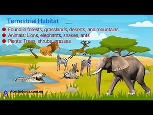 KS3 Science - Living Things and Their Habitats