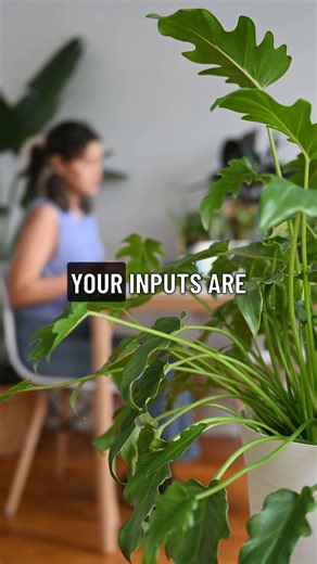 The Productivity Saddle Point: How to Optimize Your Energy Expenditure for Maximum Efficiency