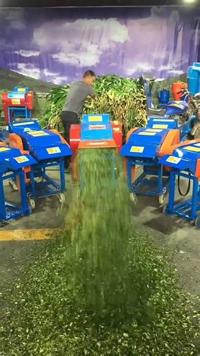 #Wet and Dry Chopping and Kneading Machine #Grass Chopping and Kneading Machine | New Tecnology