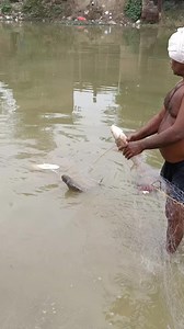 Gill net fishing tomany fish catching 🎉❤#facebookreels #amazingfish #reelsviral #fbreelsvideo | M Fishing Life