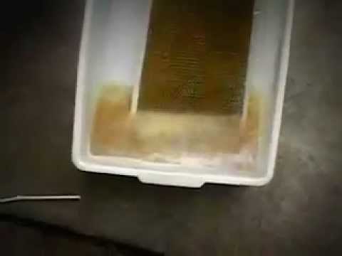 How to completely clean your dirty rangehood filter in 5 minutes