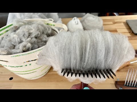 How To Scour and Comb CVM Romeldale Fleece