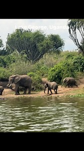 Sandra Bennett QVC on Reels