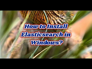 Step-by-Step Guide: Installing and Downloading Elasticsearch on Windows