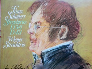 Schubert / Haydn - Wiener Streichtrio - Streichtrios - String Trios