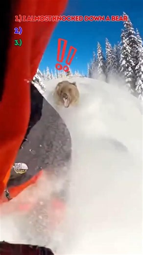 SNOWBOARDING OR SURVIVAL? My 3 Wildest Mountain Encounters! 🏂🐻🐺