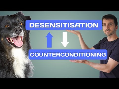 Desensitisation and Counterconditioning for Dogs