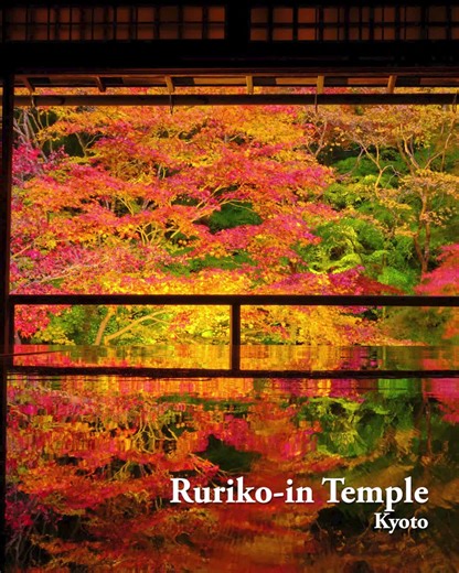 153K views · 4.4K reactions | #MovieOfTheMonth: Autumn leaves are...