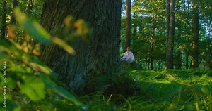 World mental health day. Beautiful woman meditate sitting on ground stump in heart of forest. Breathing exercises to restore the respiratory system. Young female enjoying sounds of woodland.