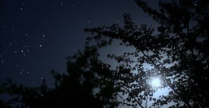 Vídeo de Wayne Speedy no Pexels