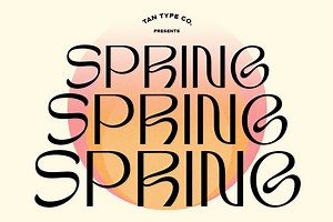 TAN-SPRING, a Sans Serif Font by TanType