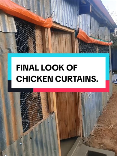 FINAL LOOK OF CHICKEN CURTAINS.#commerciallayers #poultry #poultryfarming #chicken #poultryhouse