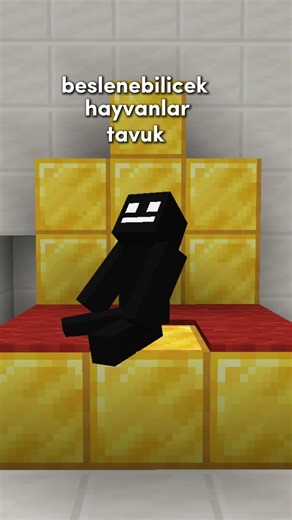 karga burun sanki crow