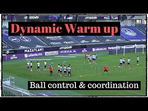 Dynamic Warm up: Ball control & coordination