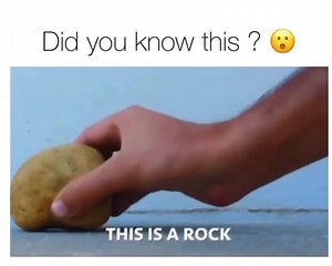 amazing fact #facts #time