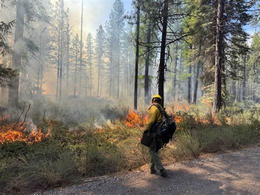 Deschutes National Forest says it's now hiring for wildland firefighter, other seasonal fire positions