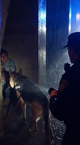 3K views · 44 reactions | "My K9 partner never disobeys a command....