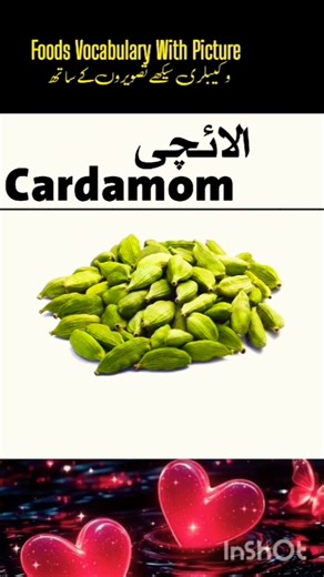 Learn english conversation/Actions Vocabulary With Picture 🖼️#english #actionwords #learnenglish