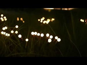 Magical Solar Firefly Garden Lights | Waterproof Outdoor LED Decoration