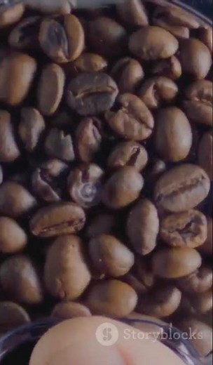 Coffee Bean Types Explained Fast